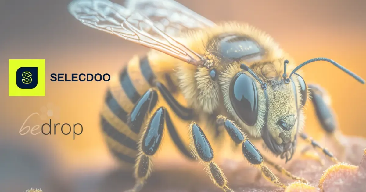 bedrop Partnerprogramm - 15% Provision + Lifetimeprovision | Selecdoo